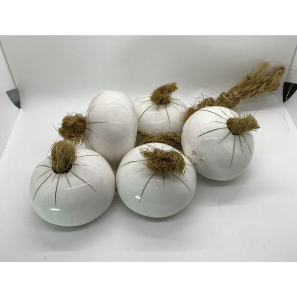 UNBRANDED | Wall Decor | Garlic Hanging Braided Ceramic 5 Large Bulbs ...
